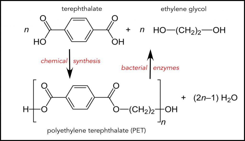 PET synthesis | Common Science Space