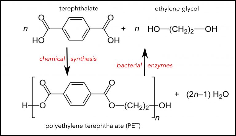 PET synthesis | Common Science Space